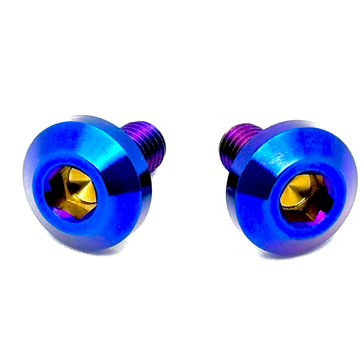 Titanium Chain Guard Bolts (Set of Two) Surron & Segway – Elektrisches ...