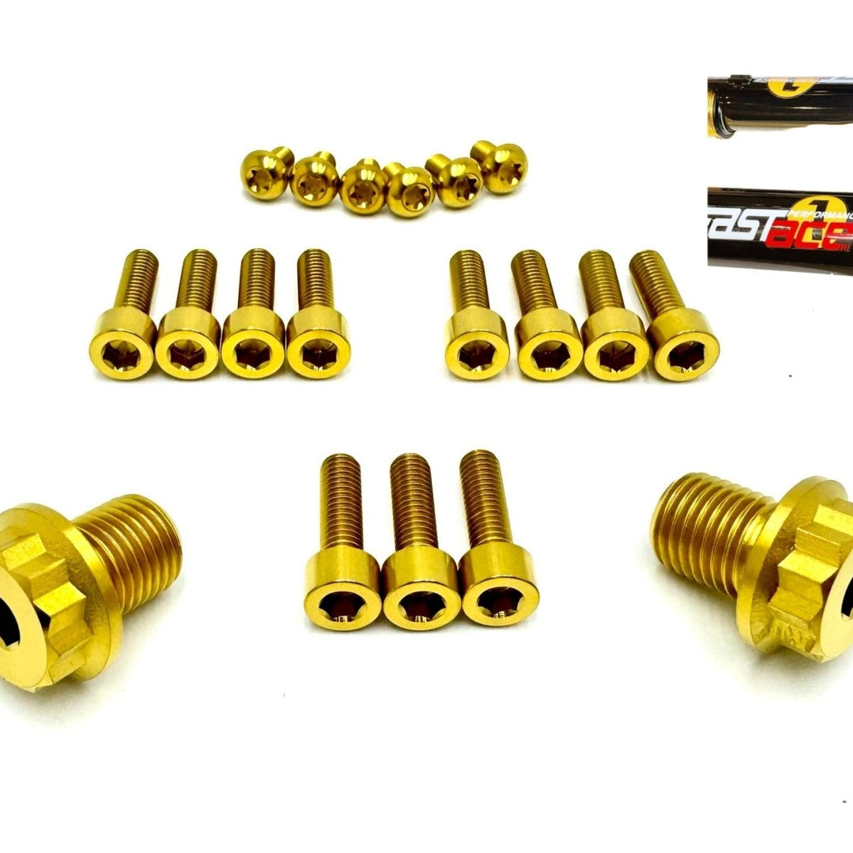 FastAce Fork Titanium Bolt Kits (includes axle bolts) Surron, Talaria ...
