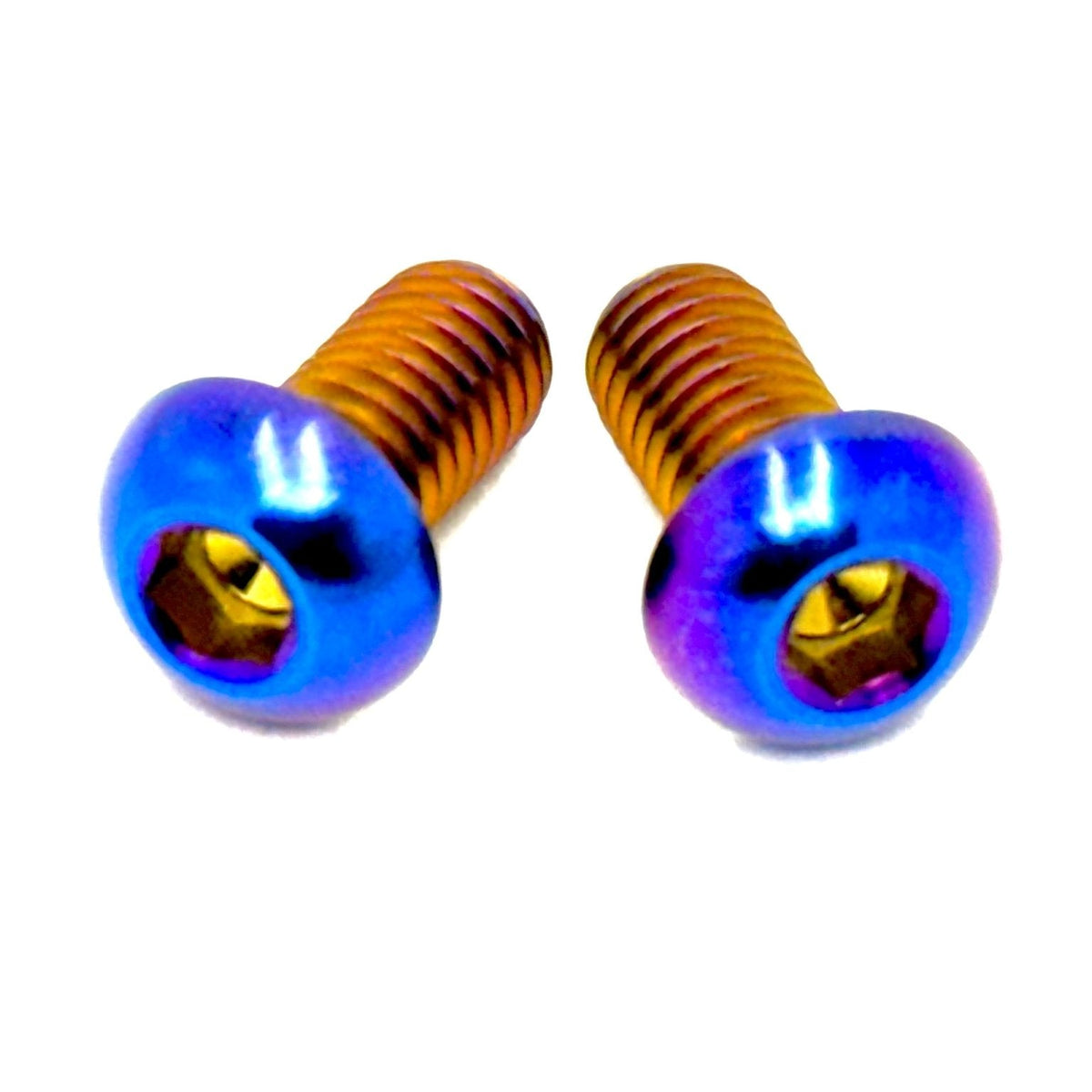 Titanium Motor Shaft Cover Bolts (Set of Two) Surron, Talaria, Segway ...